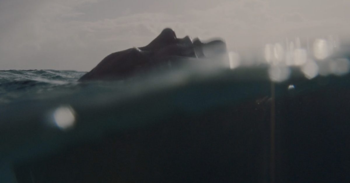 CZAR CH / Oskar Wrangö